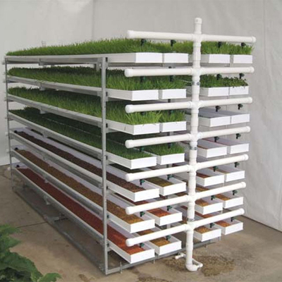 Hydroponic Vertical Barley Fodder Growing System For Sale - Thump