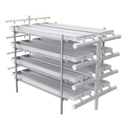 Hydroponic Barley Fodder Container System Growing Systems - Thump