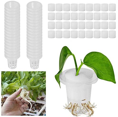 Hydroponic Grow Germination Seeding Sponge Foam - Thump Manufacturer